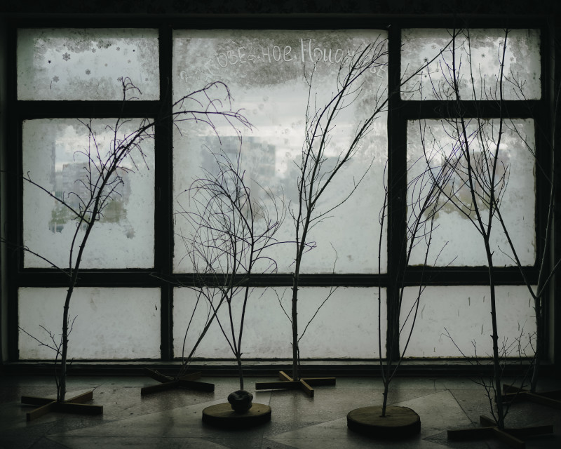 Land of the Tiger • Kolga