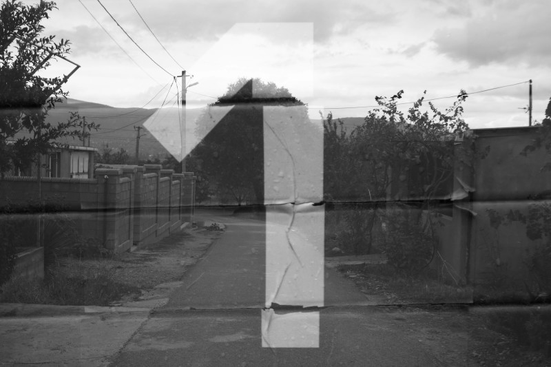 The rows of Tserovani • Kolga